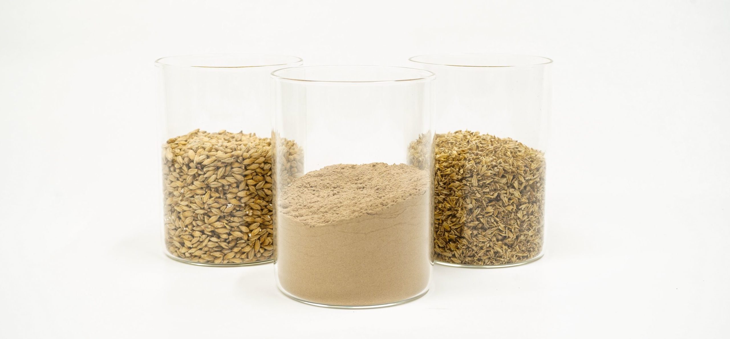 ProSeed receives a FIT loan to transform brewing by-products into food ...